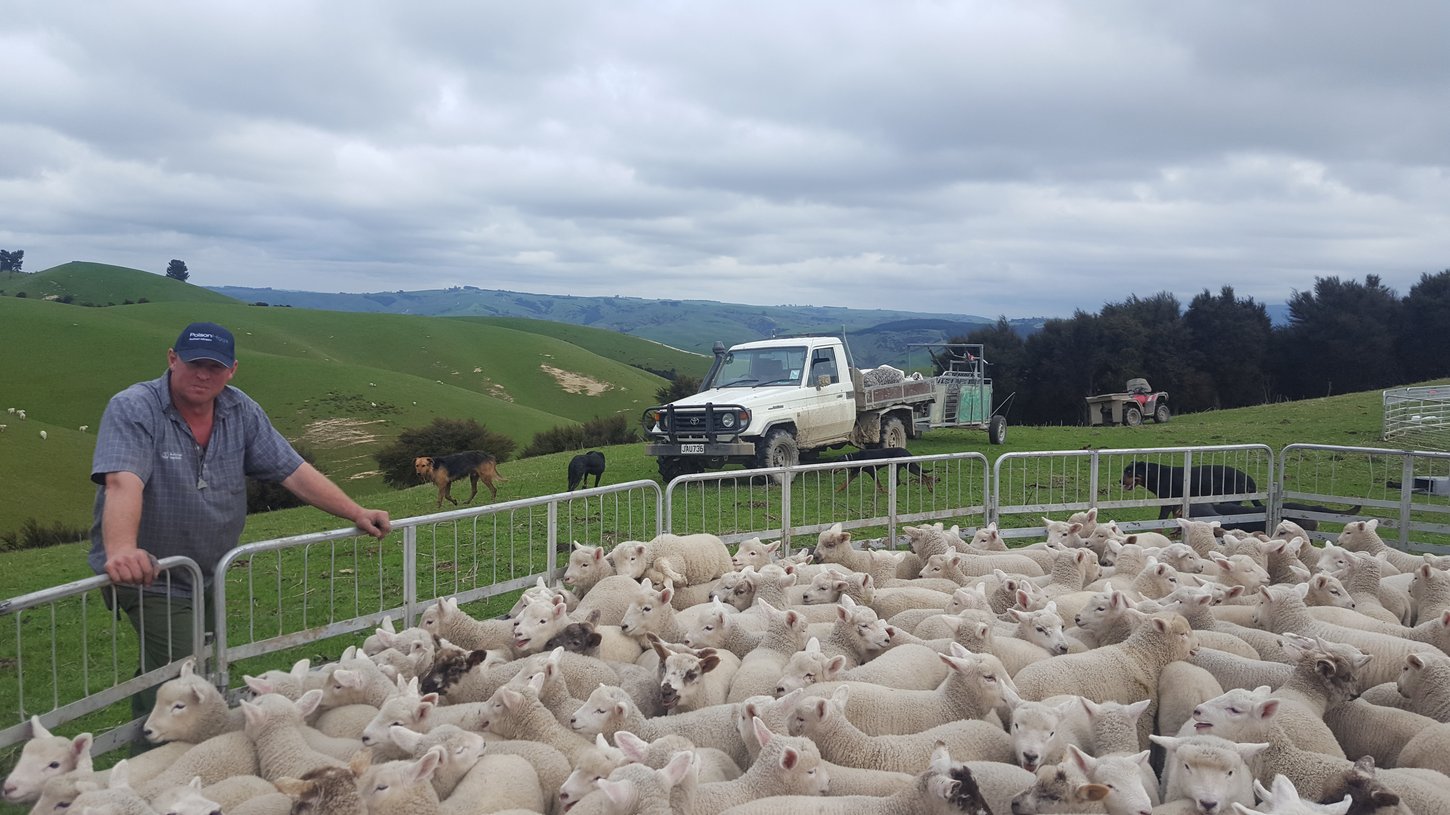 Planning for your future using Scenarios: Overhill Farm & Polson Higgs