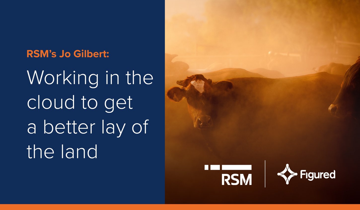 RSM’s Jo Gilbert: Working in the cloud to get a better lay of the land