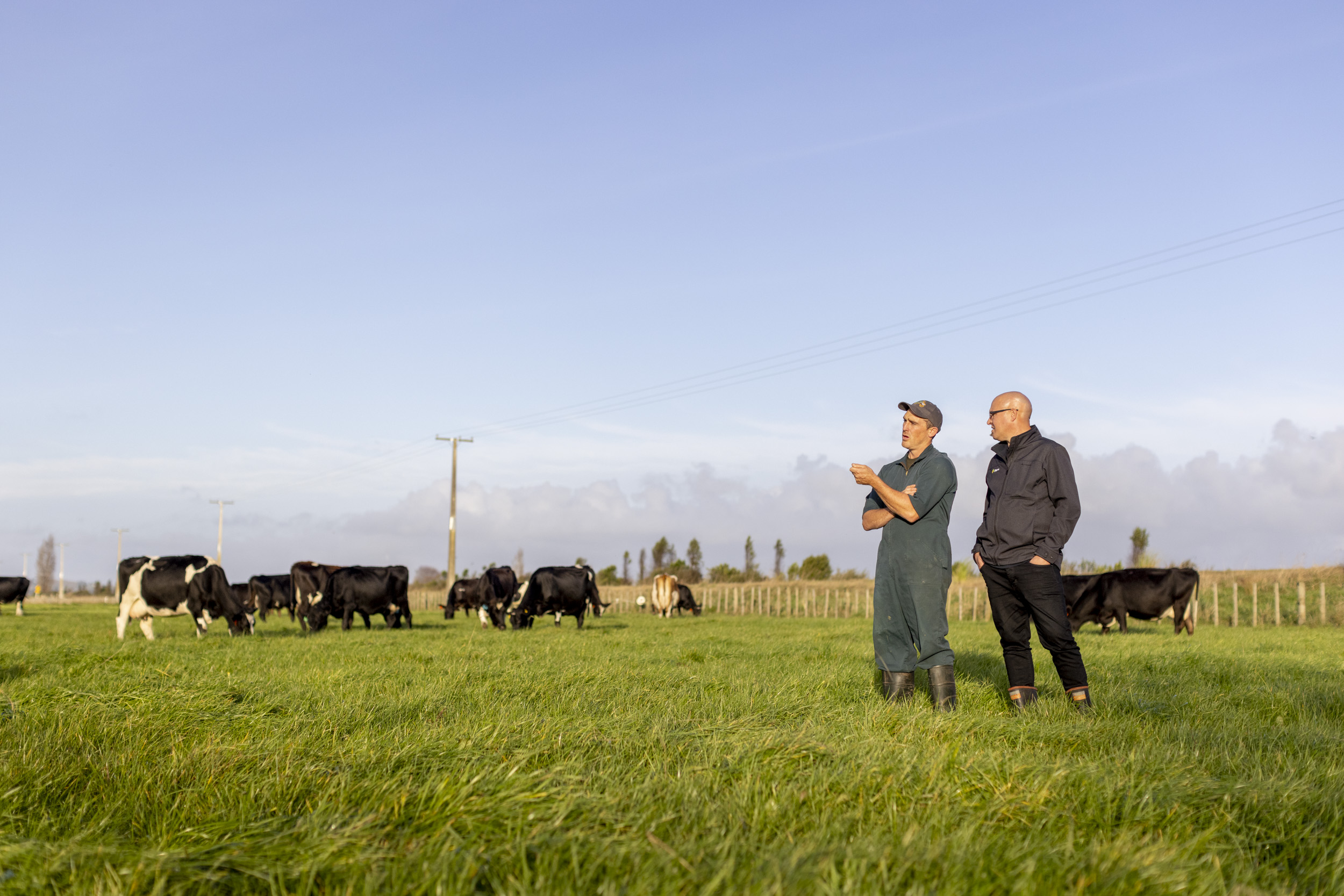 How Kaituna Pastures Simplify Farm Financial Management with Figured